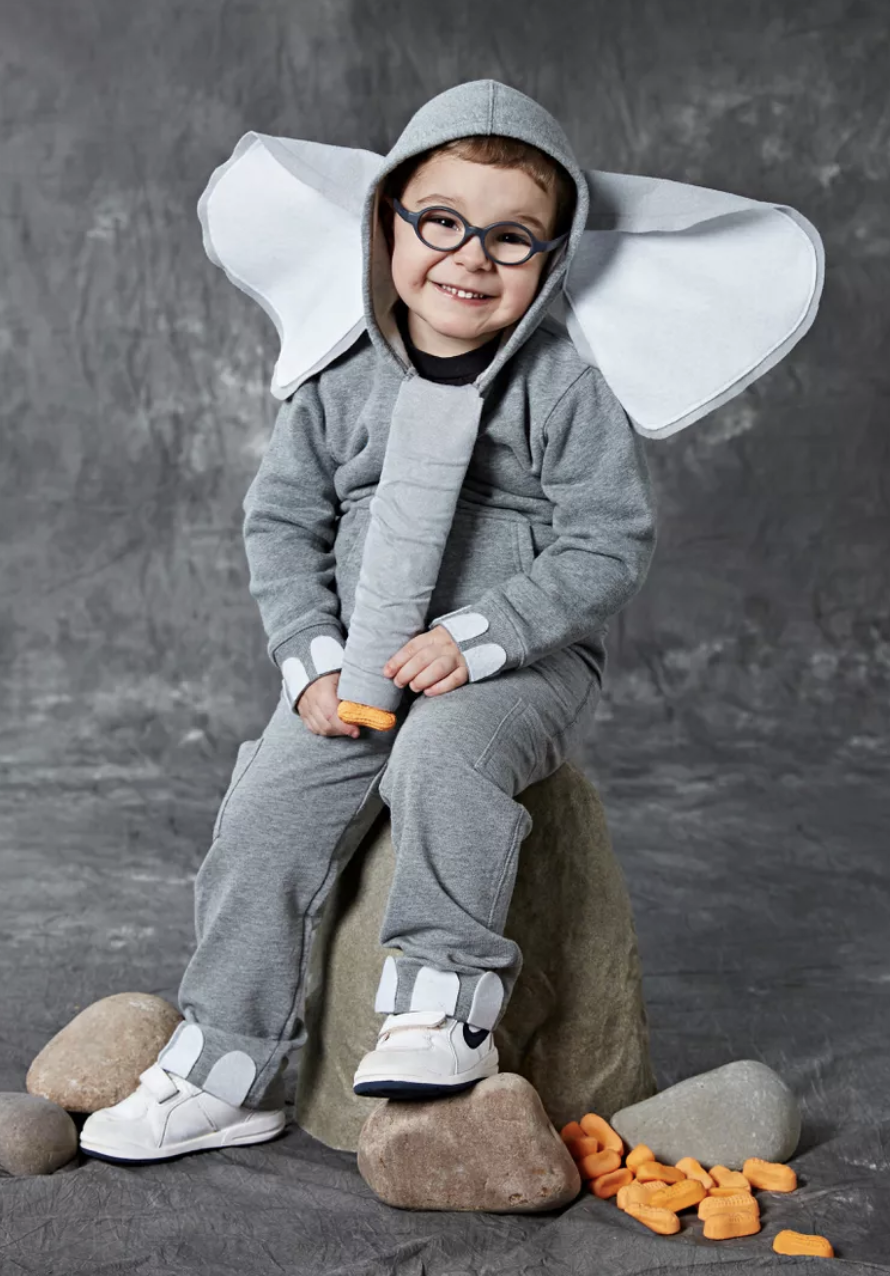 10 Ways to Transform Your Literati Book Fair with a Safari Theme ...